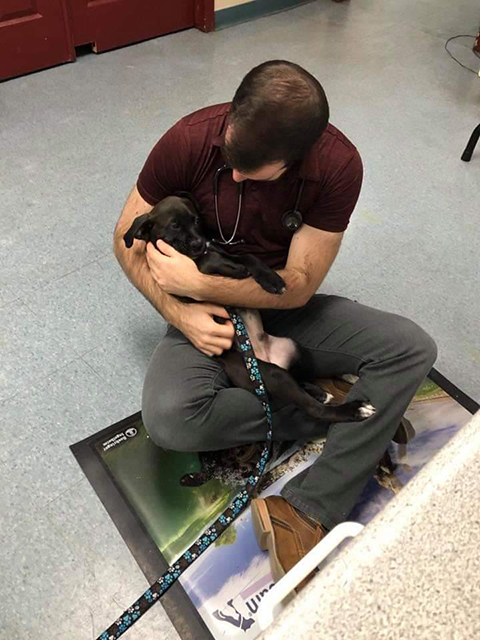 Dr. Wicks - Carleton & Lanark Veterinary Services